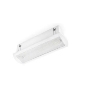 ESP EMEREGENCY LIGHT FLUSH TYPE - Green Electricals